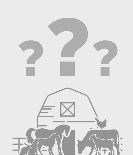 Our Animals – Chester's Barn